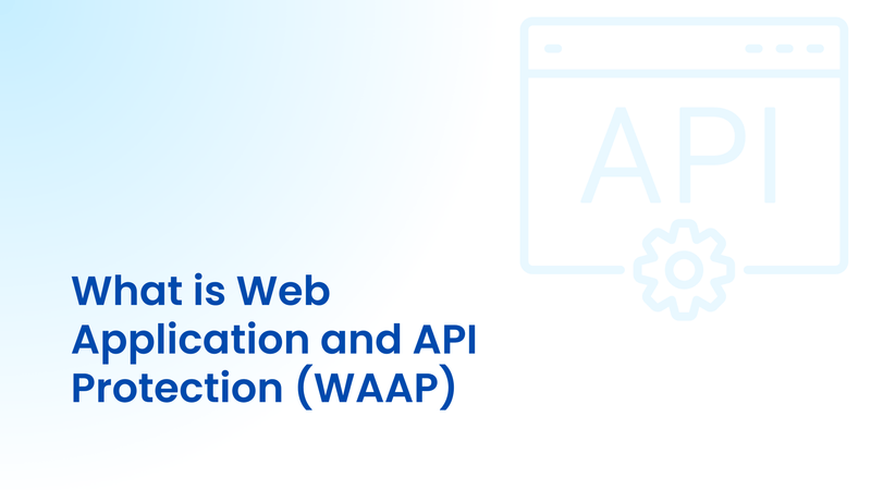 What Is WAAP? Web Application and API Protection Guide